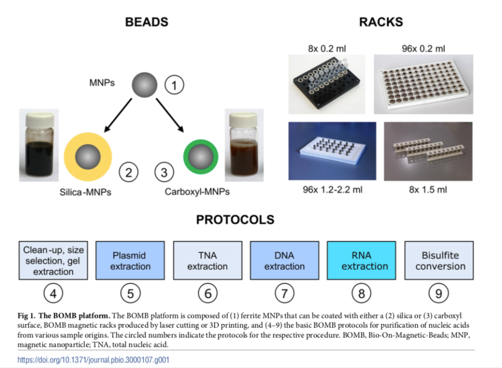 Bio-On-Magnetic-Beads (BOMB): Open platform for high-throughput nucleic ...